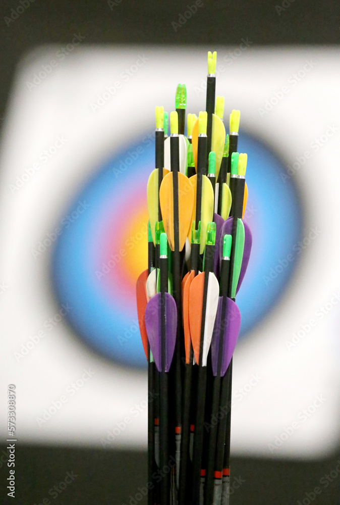 Colorful arrows in front of target for outdoor recreational activity ...