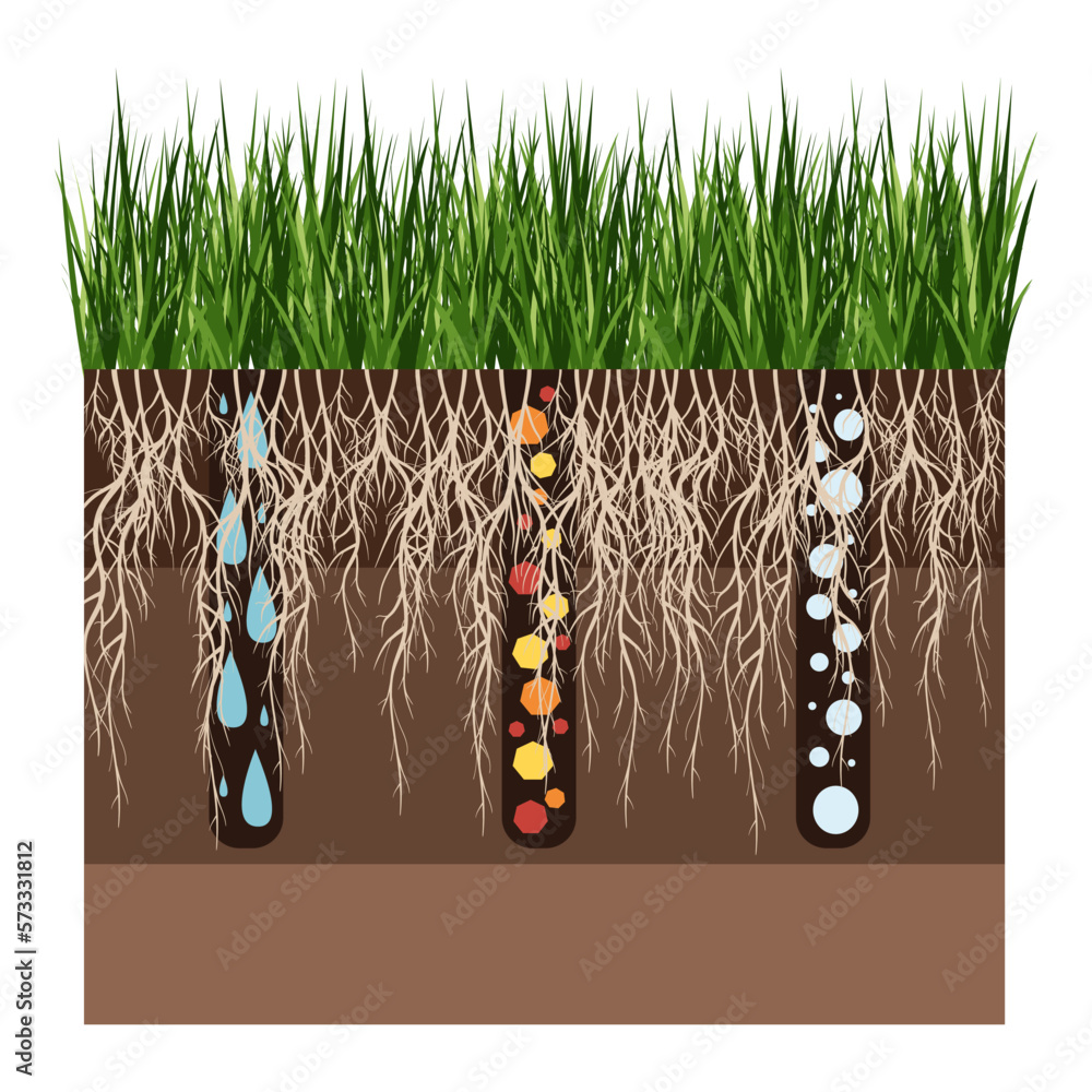 Lawn care - aeration and scarification. Labels by stage-after. Intake ...