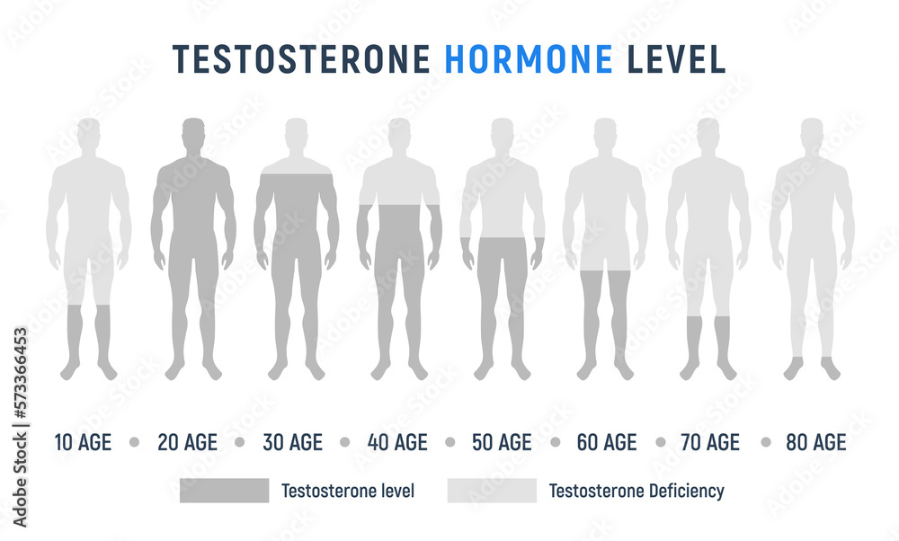 Testosterone level therapy hormone male fertility science illustration ...