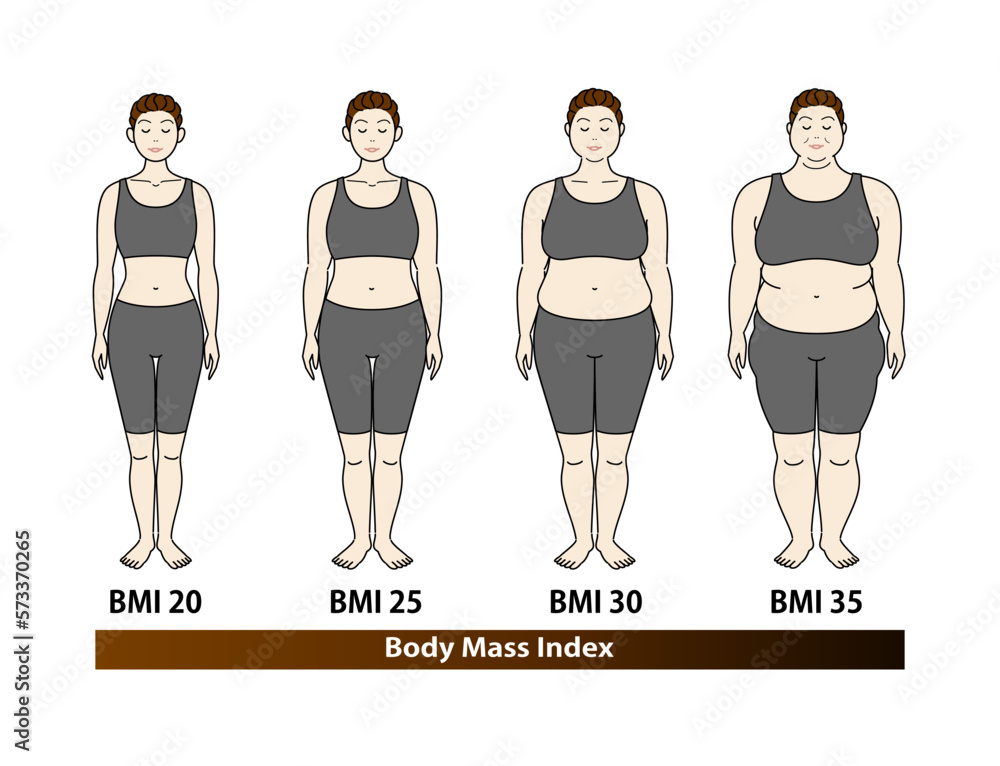 Vetor de 中高年女性のBMI指数による体型の変化 ボディマスインデックス イラスト ベクター Body shape changes ...