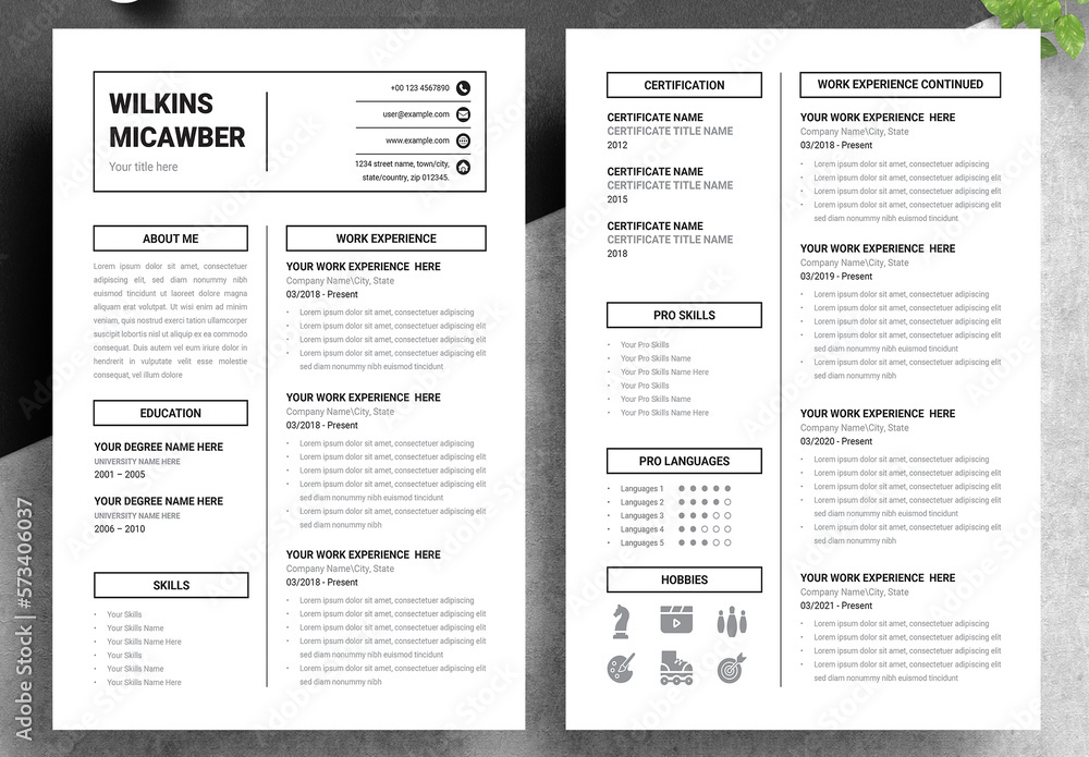 White Resume Design Template Layout Stock Template | Adobe Stock