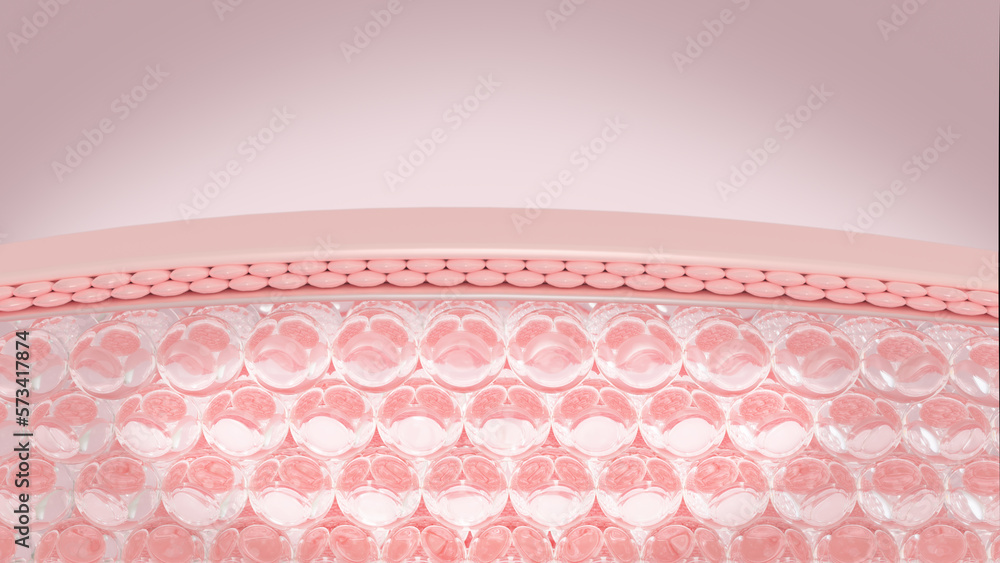 3D rendering Layer of skin structure microstructure. Skin cell sagging ...
