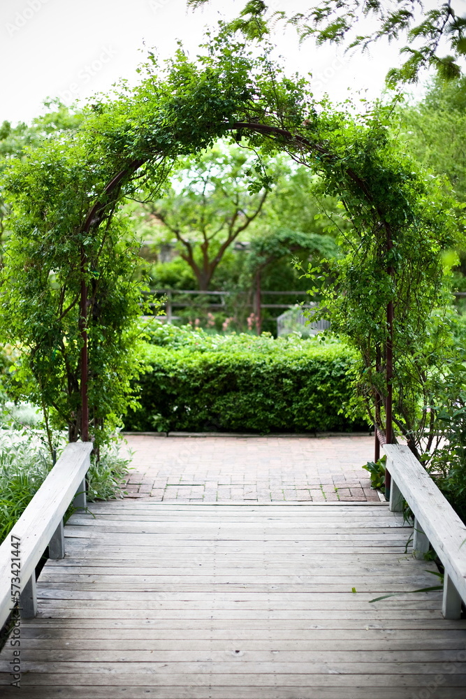 Foto de large garden trellis arch with greenery at the end of a wooden ...