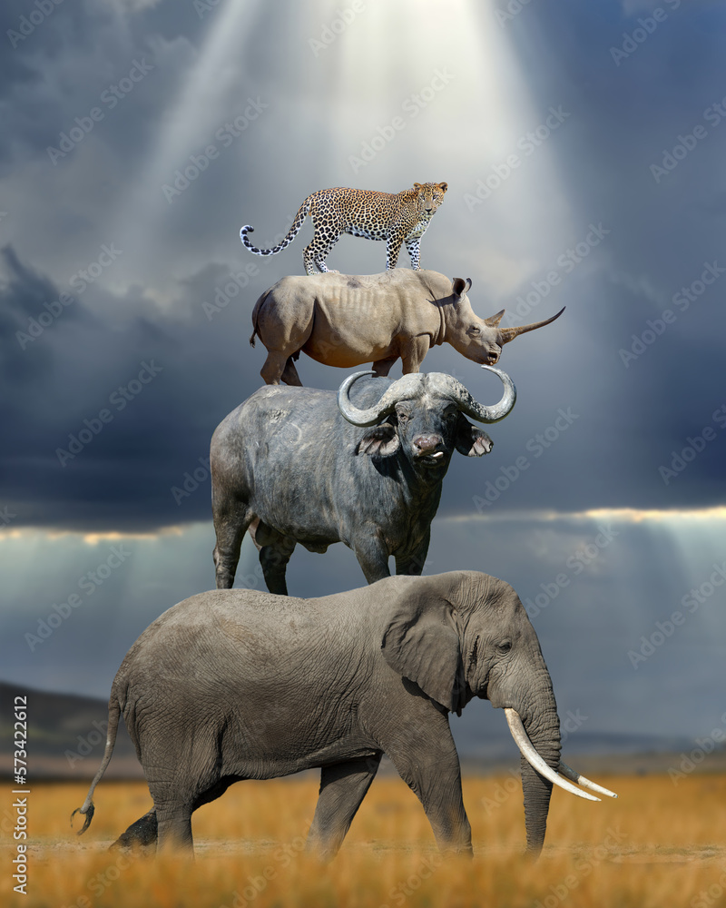 Fours africans animal on top of each other elephant, buffalo, rhino and ...