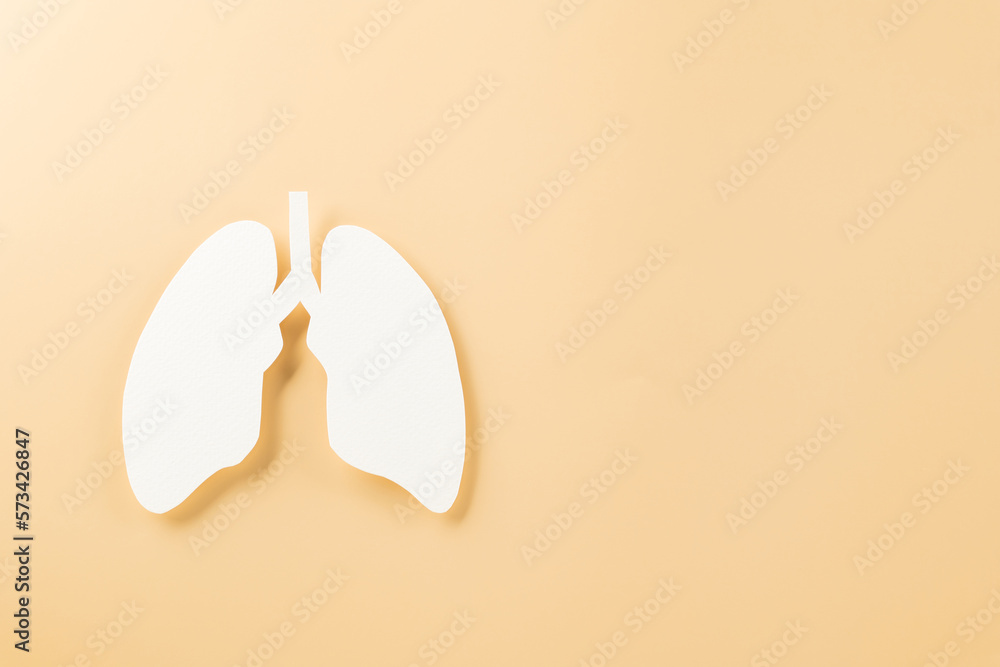 World TB day. Top view Lungs paper decorative symbol on pastel ...