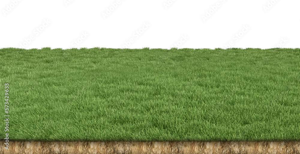 green grass field isolated on Transparent background PNG Stock ...