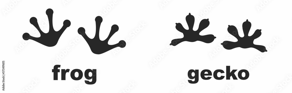 frog and gecko footprints isolated on white baground. vector Stock ...