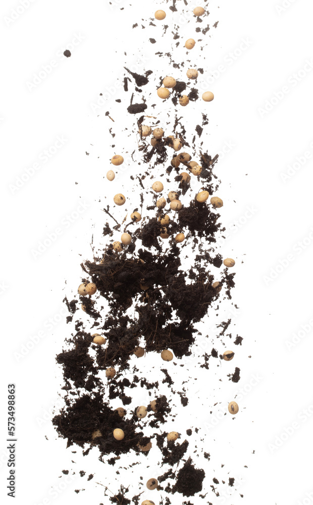 Soil dirt Soy bean mix flying explosion, Soybean soil fertilizer ...
