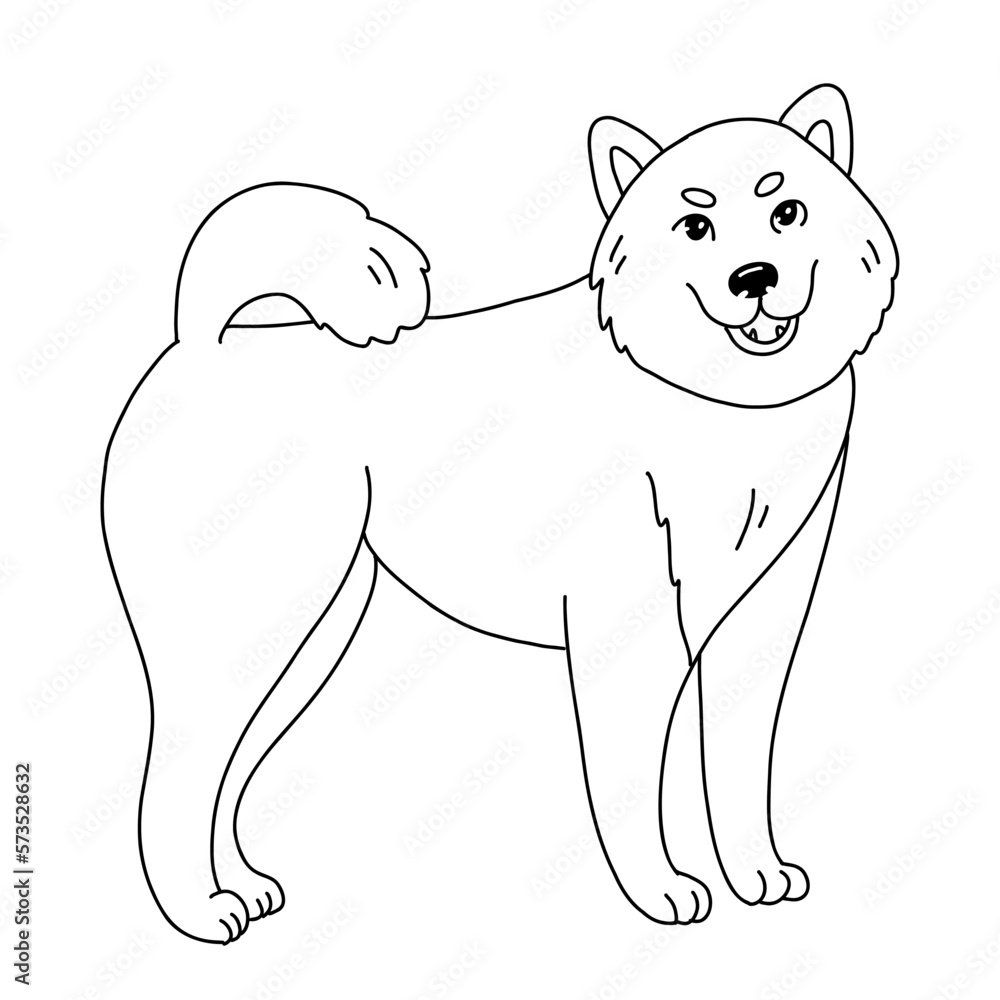 Japanese akita inu dog, vector outline illustration for children ...