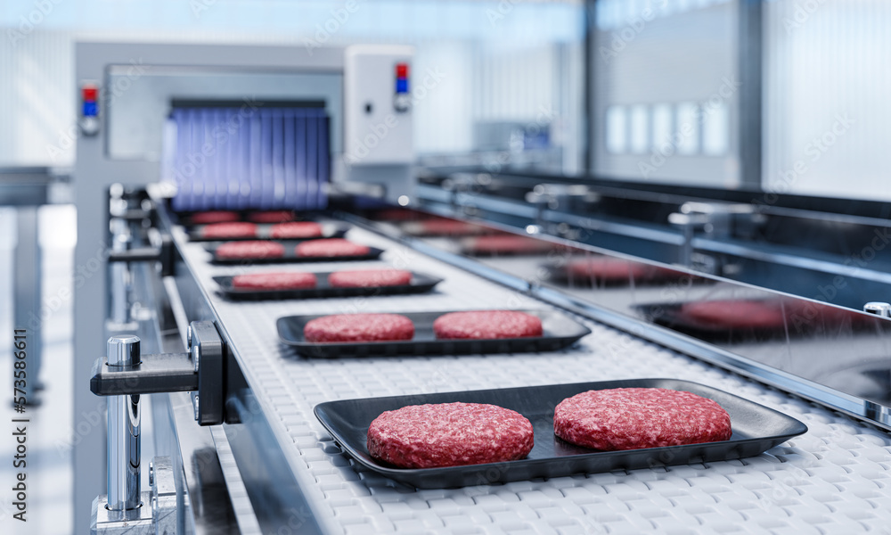 Conveyor in a factory of ready-made beef hamburger patties - a modern ...