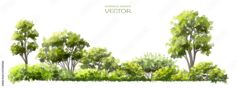 Vector watercolor of green tree side view isolated on white background ...