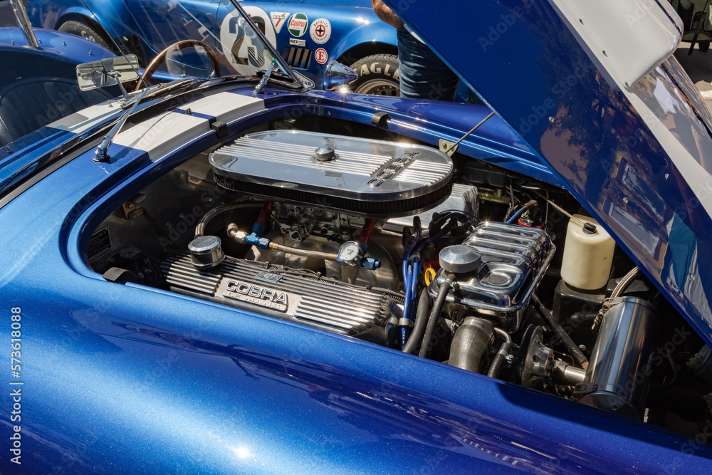 Shelby Cobra 2022 Engine