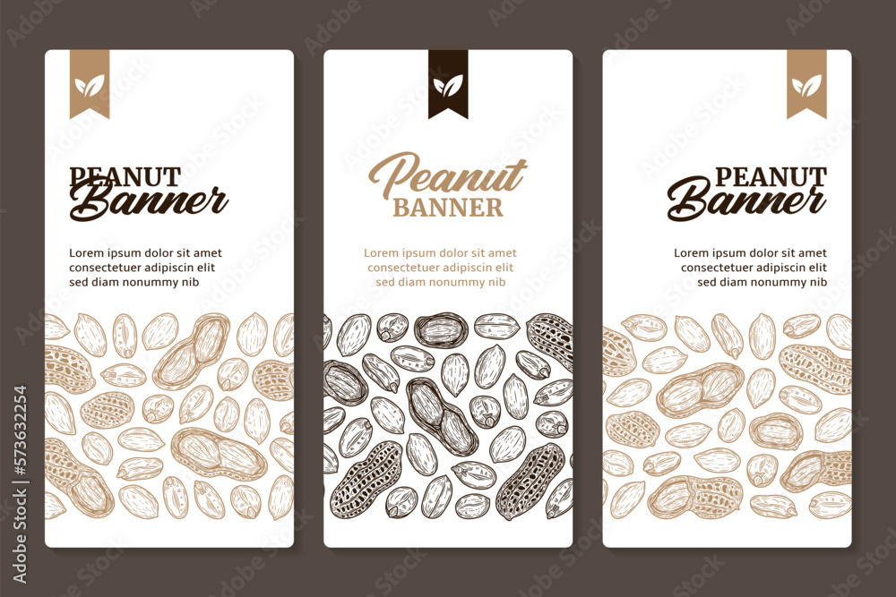 Peanut vertical banner design concept with hand-drawn peanut seeds and ...
