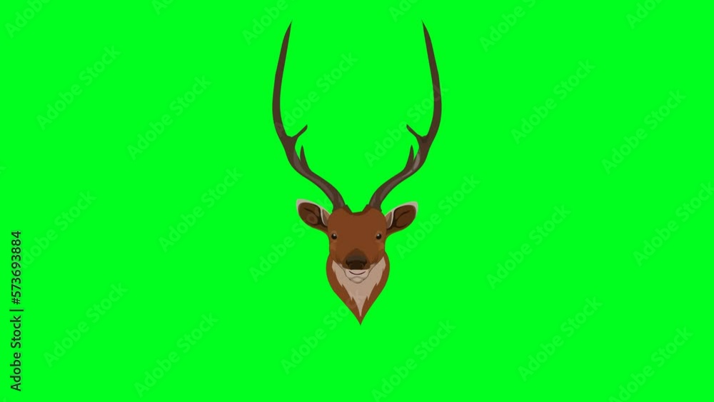 Red Deer laughing animation seamless loop 4K with Transparent ...