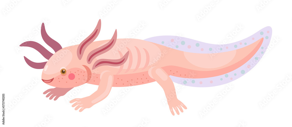 Cartoon cute joy axolotl Stock Illustration | Adobe Stock