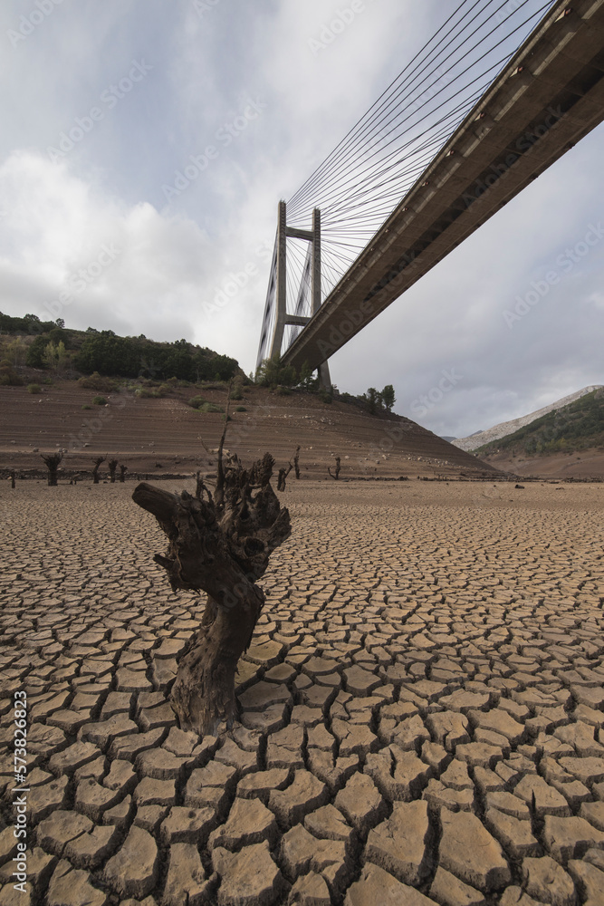 Foto de Dry cracked earth and tree stump below bridge, Leon, Leon ...