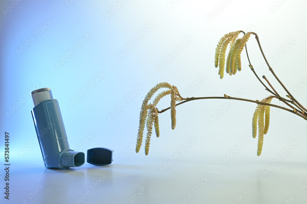 Inhaler with allergy spray and hazel branches with male catkins, pollen ...