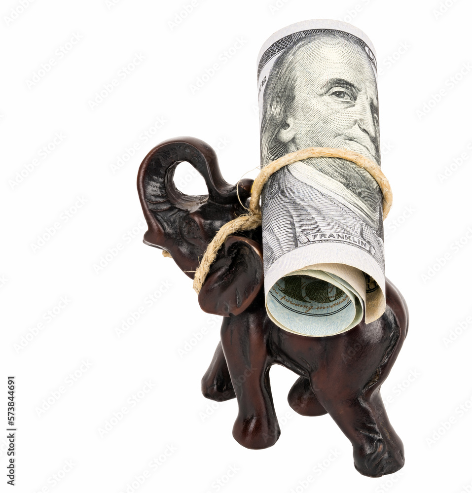 Elephant walk with 100 dollar note. Еlephant with bills on white ...