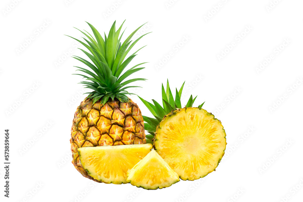 Single Pineapple Slice