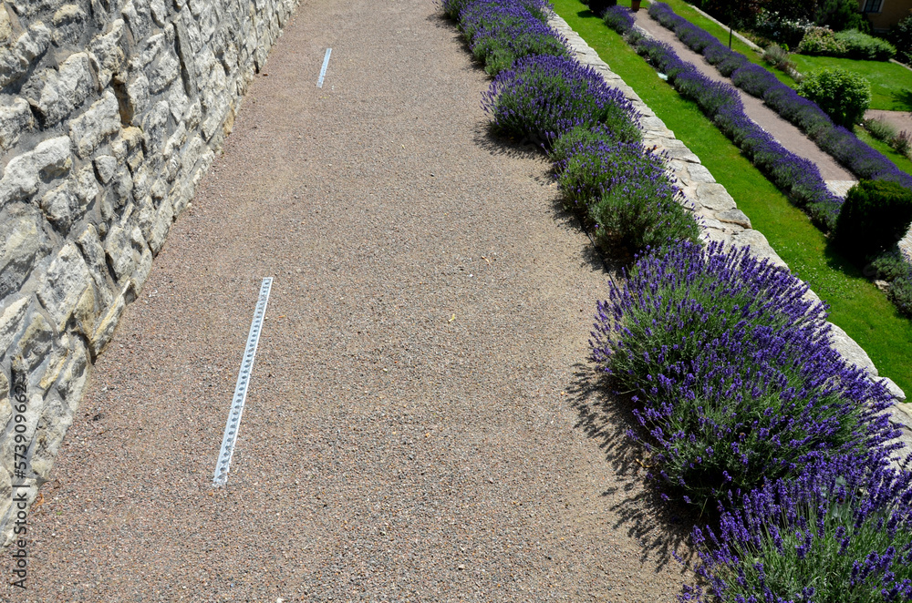 terraces with stairs in a sloping park. stone retaining walls with ...