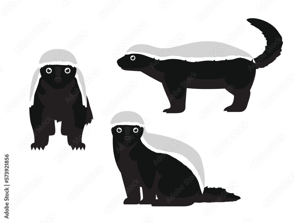Poster Animal Poses Honey Badger Cartoon Character Vecto – Wall Art ...