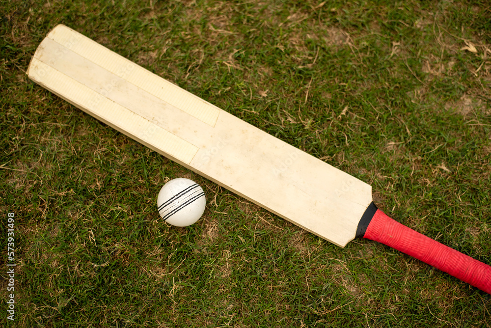 Cricket bat and ball on playing grass field pitch Stock Photo | Adobe Stock