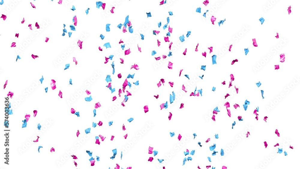 pink and blue confetti rain launched from a cannon slowly falling ...