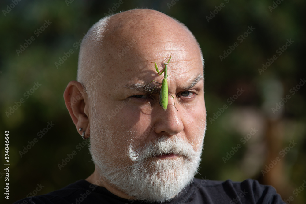 Mantis on head. Comic and humor sense. Serious old men with beard and ...