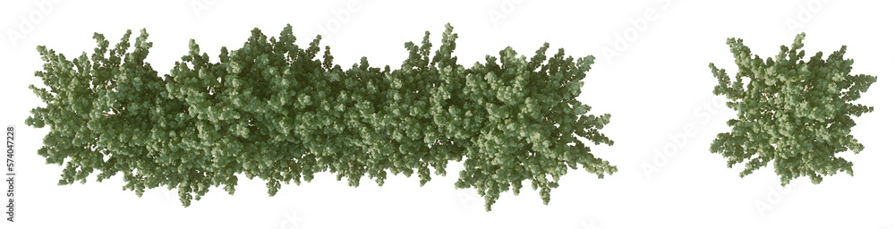 plan 2D view shrub composition Isolated on PNGs transparent background ...