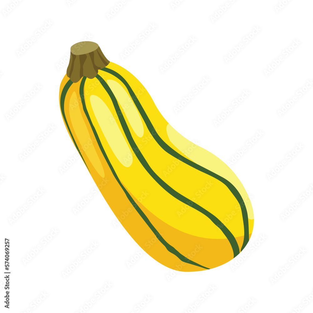 Delicata squash. Nature organic vegetable delicata squash. Isolated on ...