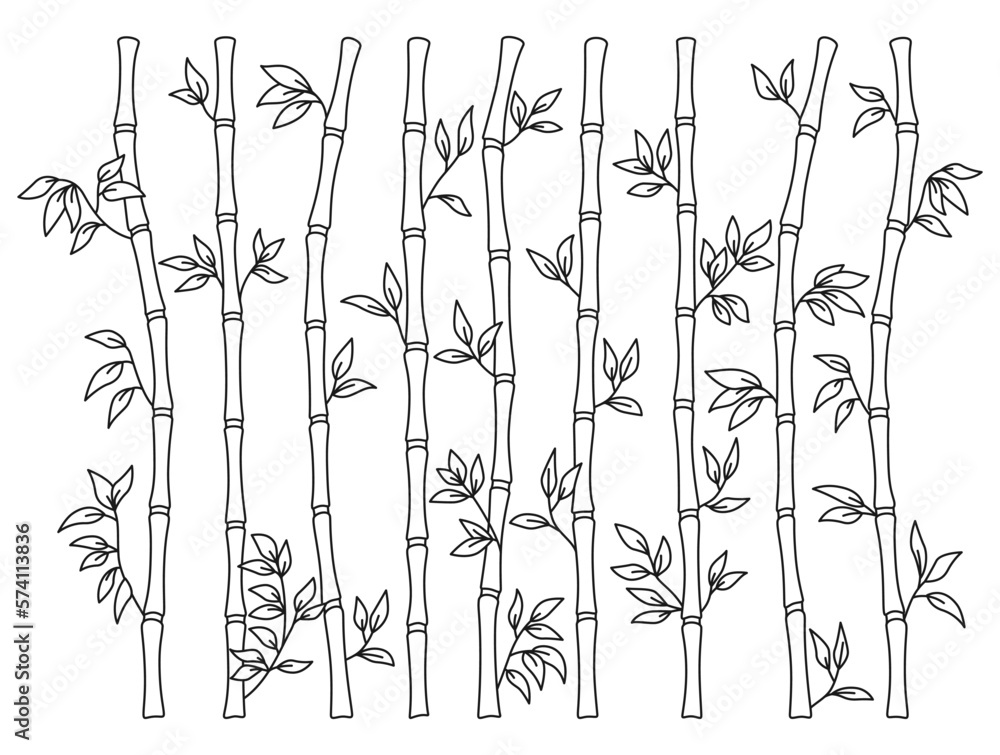 Vetor de Bamboo stem and leaf outline border set. Exotic decoration ...