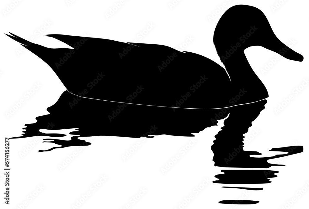 duck floating in water silhouette Stock Vector | Adobe Stock