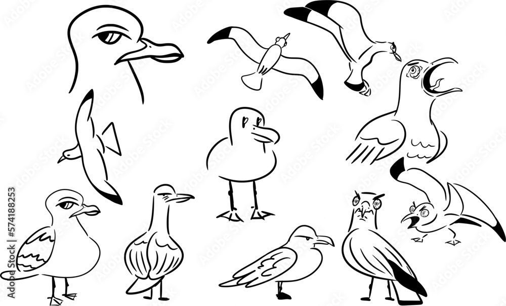 Vector drawing of several seagulls in different poses,flying and ...