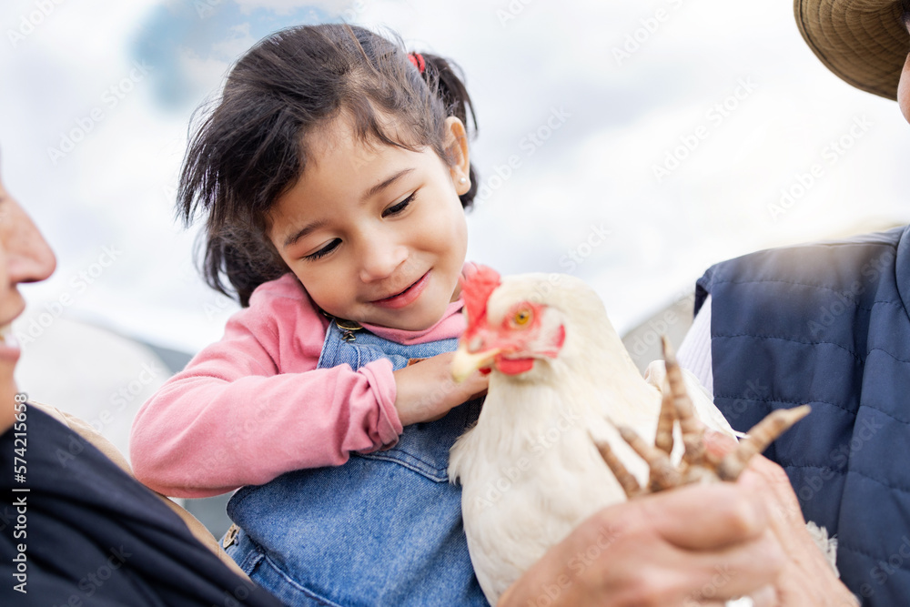 Farm, agriculture and girl and chicken in countryside for farming ...