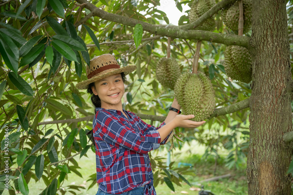 Happy teenager asian woman farmer holding durian in durian plantation ...