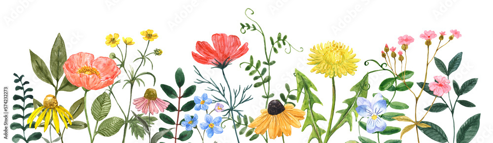 Wildflower border, watercolor illustration. Pretty and colorful floral ...