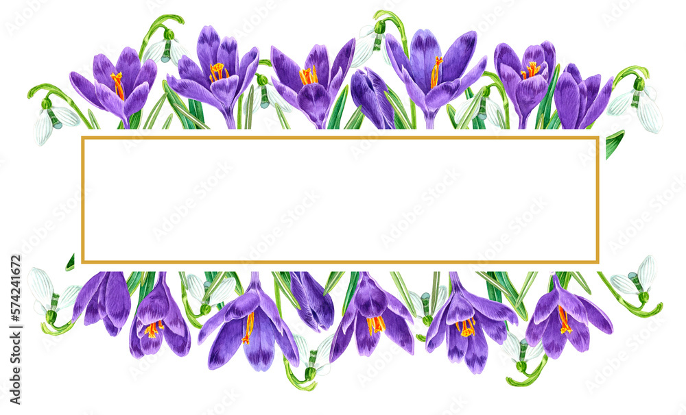 Watercolor flower border frame of purple crocuses and snowdrops ...