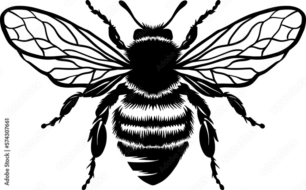 Black and White Honey Bee Insect for Stickers and Bee Decal. Bee Line ...