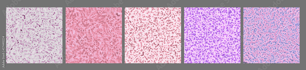 Poster Histologic Sample Structures Set - Visualization of Tissues ...