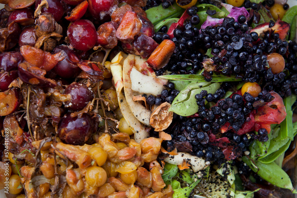 Kitchen and garden scraps - decomposting the household waste to produce ...