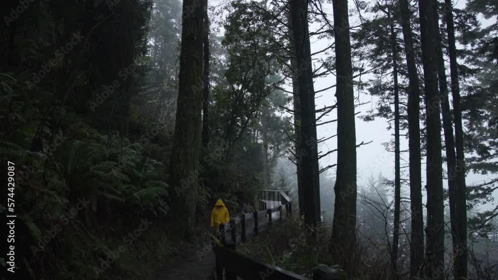 Lonely traveler walking through dense grove by the cliff with ancient ...