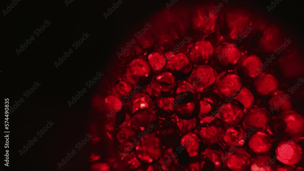 The concept of the ovum. Animation of early embryonic development. Cell ...