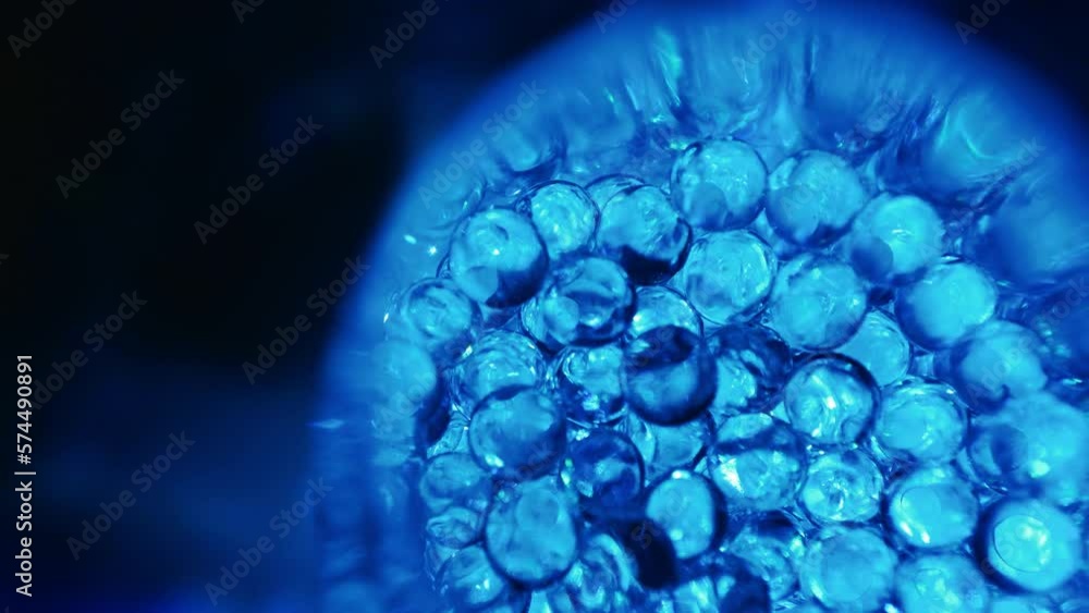 Animation of early embryonic development. Cell division, formation of ...