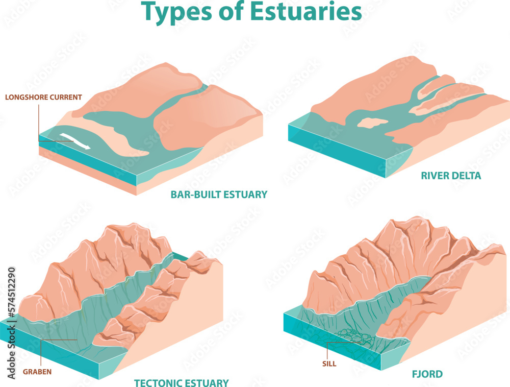 Photo & Art Print four types of Estuaries, zombiu26
