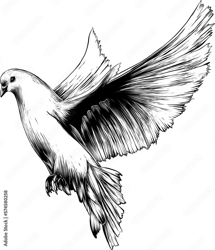 PNG engraved style illustration for posters, decoration and print. Hand ...