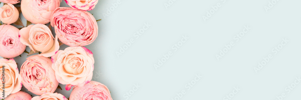 Banner with pink rose flowers texture with copy space on a blue ...