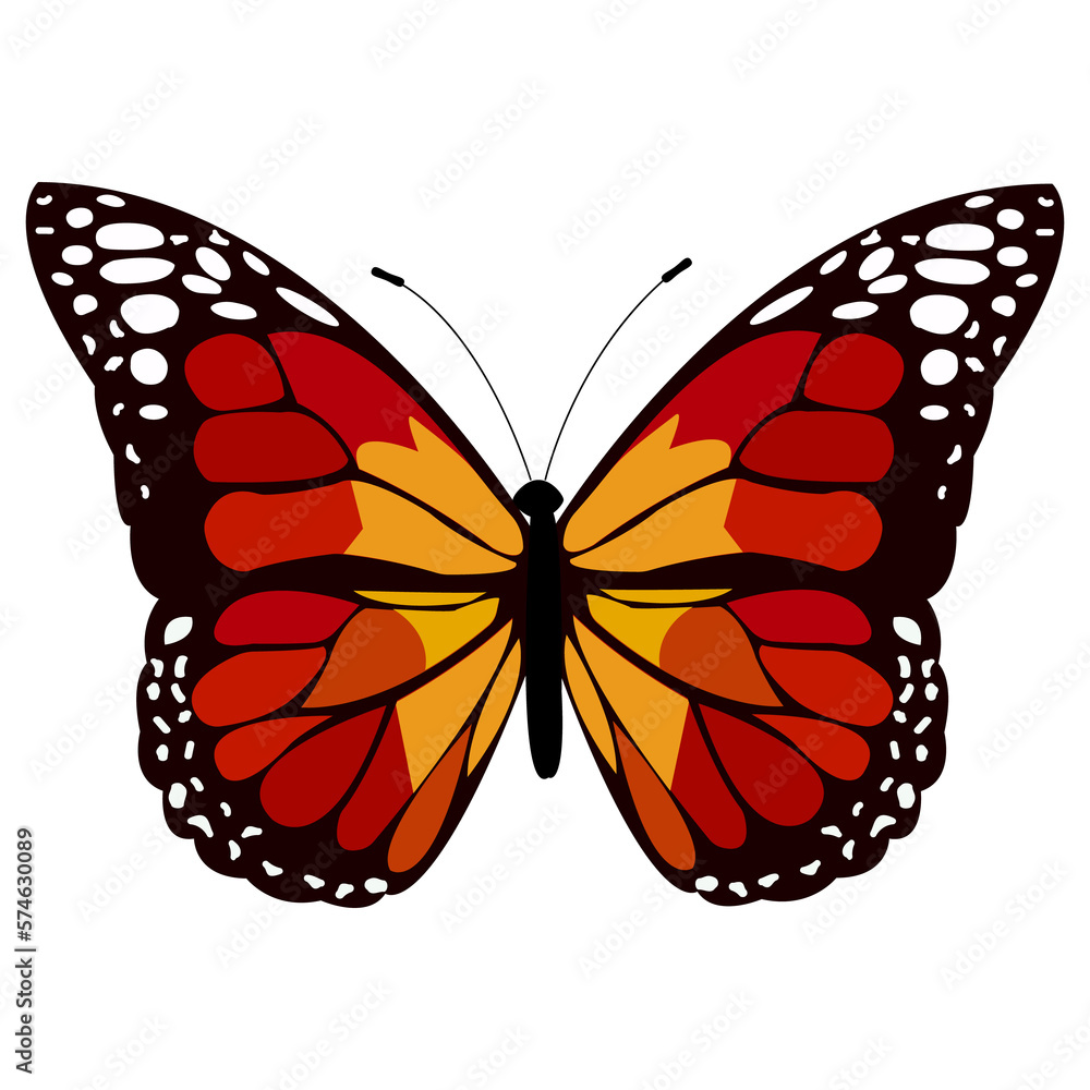 Beautiful, multi-colored black monarch butterfly with red, orange ...