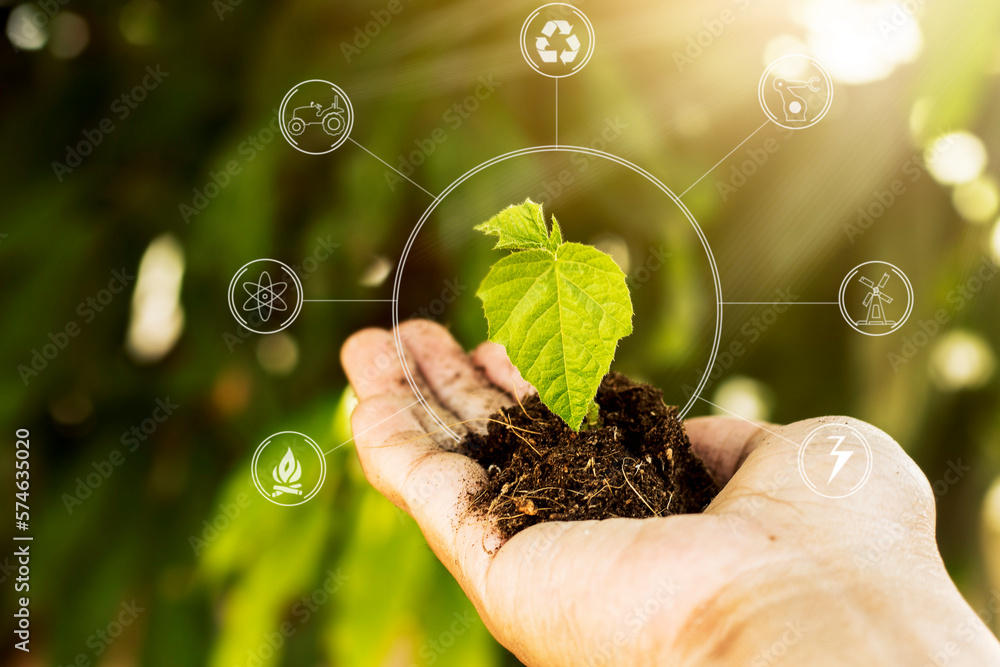 hand touching planting small plants with holographic soil environmental ...