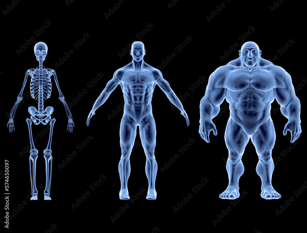 Transparent Human body constitution vector concept. Flat design. X-Ray ...