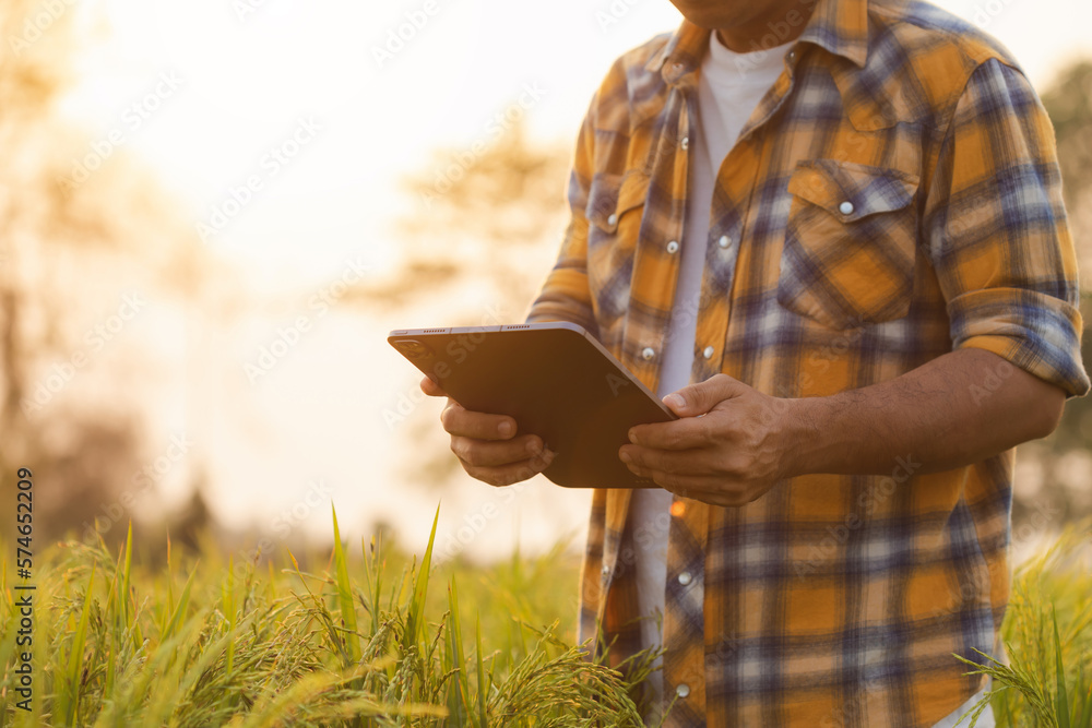 Farmers use tablet computers to check their fields. They are used for ...